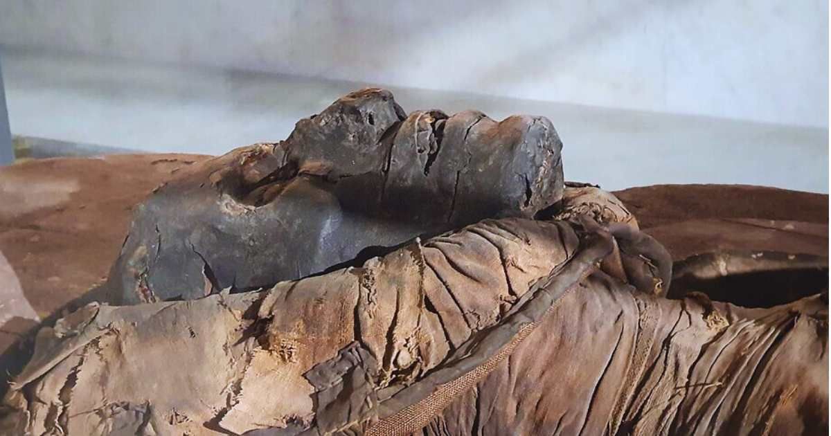 Researchers Baffled to Find a Mummy That Was Unusually Embalmed With ...