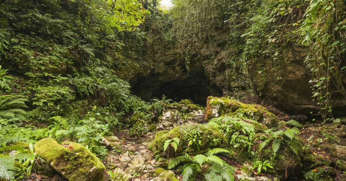 Geologists stumble upon massive tunnels in South America with ...
