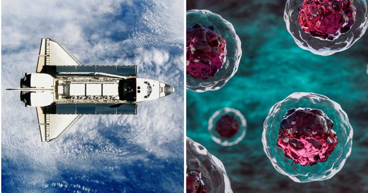 Space exploration has a 10x impact on aging compared to Earth, finds study - Knewz