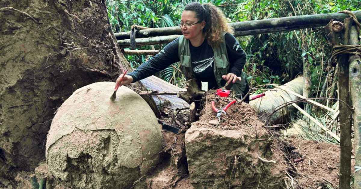 Mysterious prehistoric spheres unearthed beneath Amazon trees - Knewz
