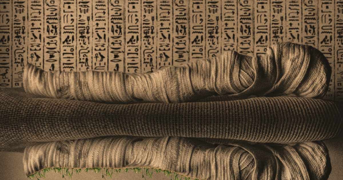 Zimapán mummy died 1000 years ago but his gut microbiome still survived ...