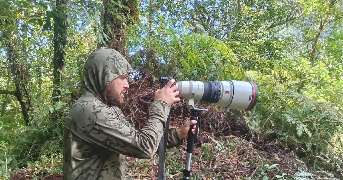 Scientists have just spotted Dodo’s closest living relative on the ...