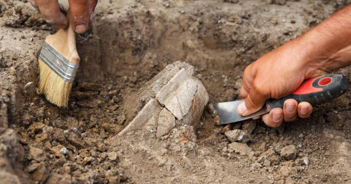 Archaeologists unearth 773,000-year-old hominin fossils in Morocco ...